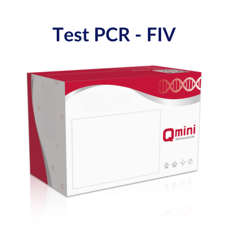 FIV - Test Real Time PCR do wykrywania wirusa FIV